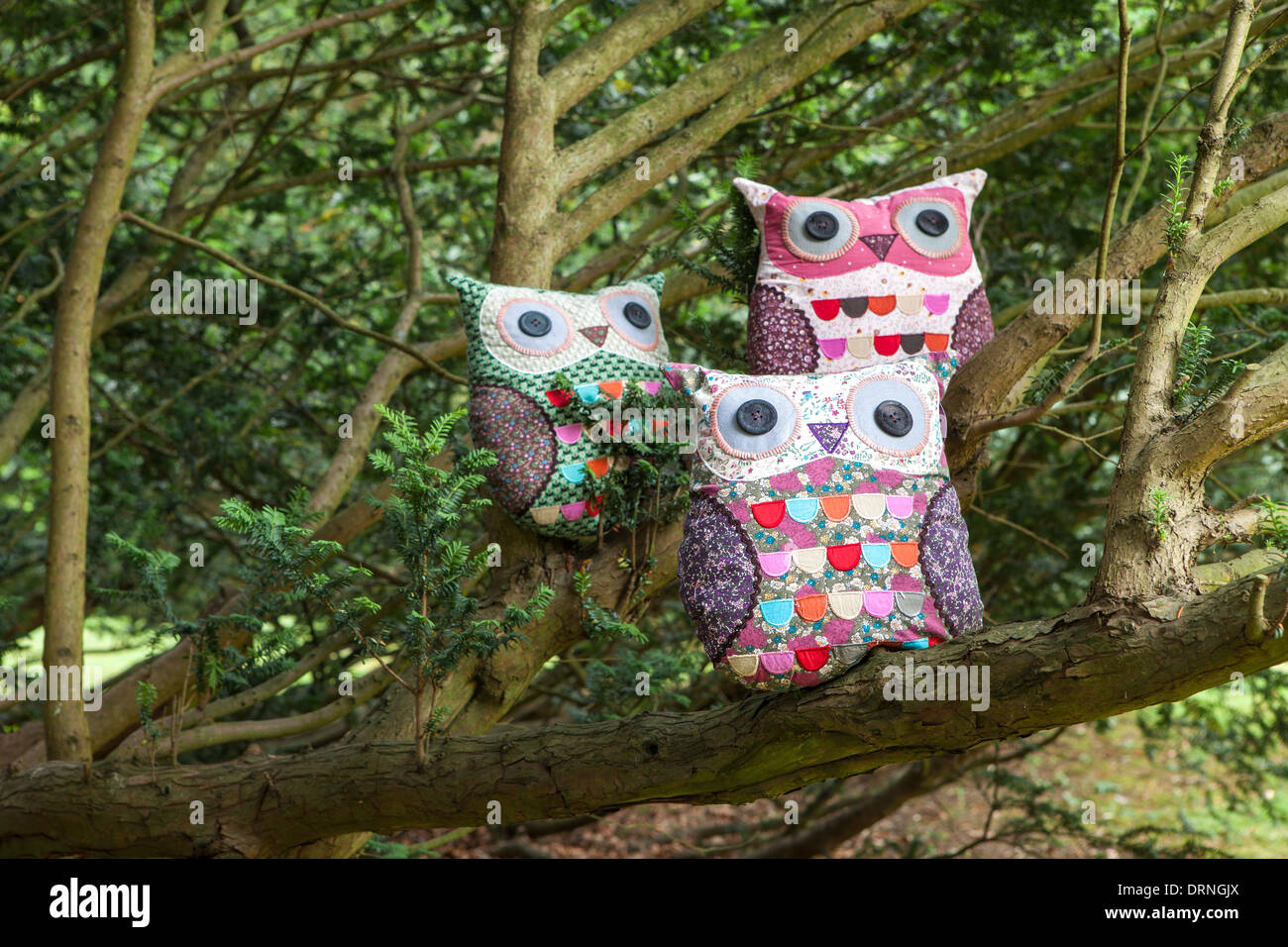 Owl house tree hi-res stock photography and images - Alamy