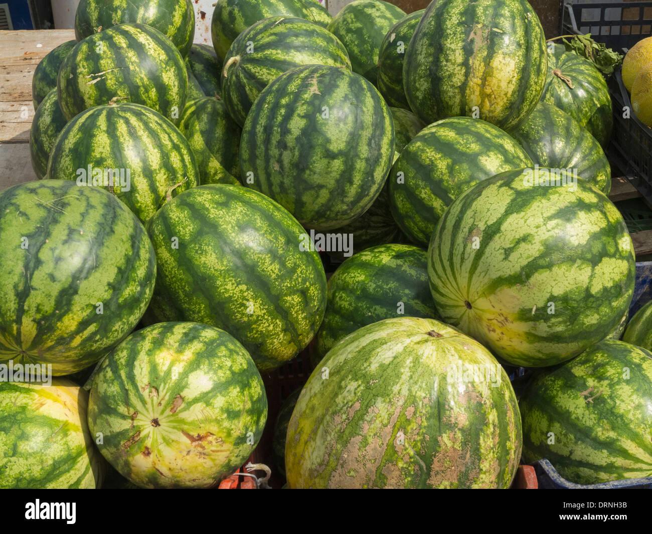 Watermelon on a market stall Stock Photo - Alamy