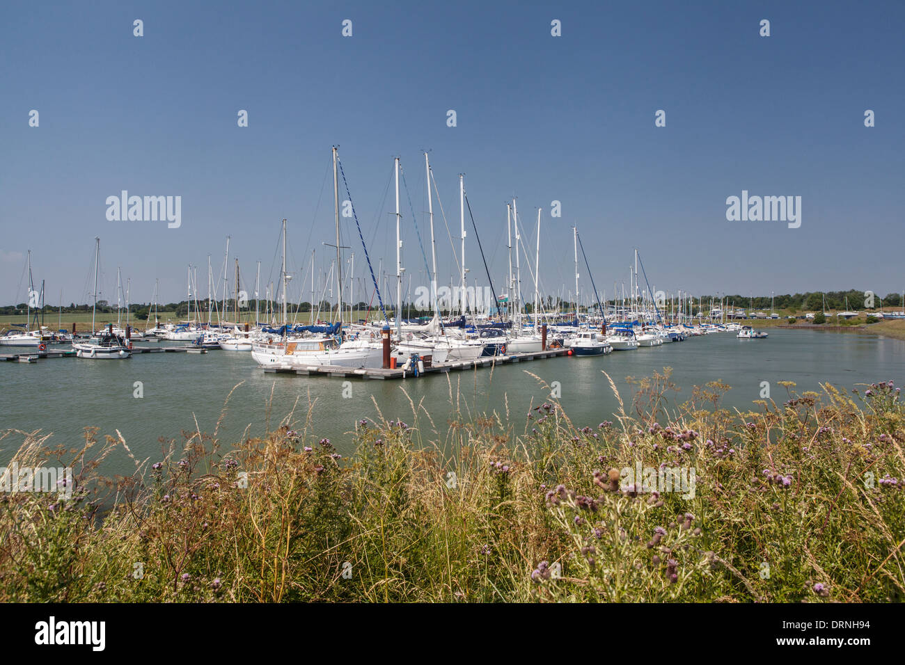 Burnham on Crouch Marina, Essex England Stock Photo - Alamy
