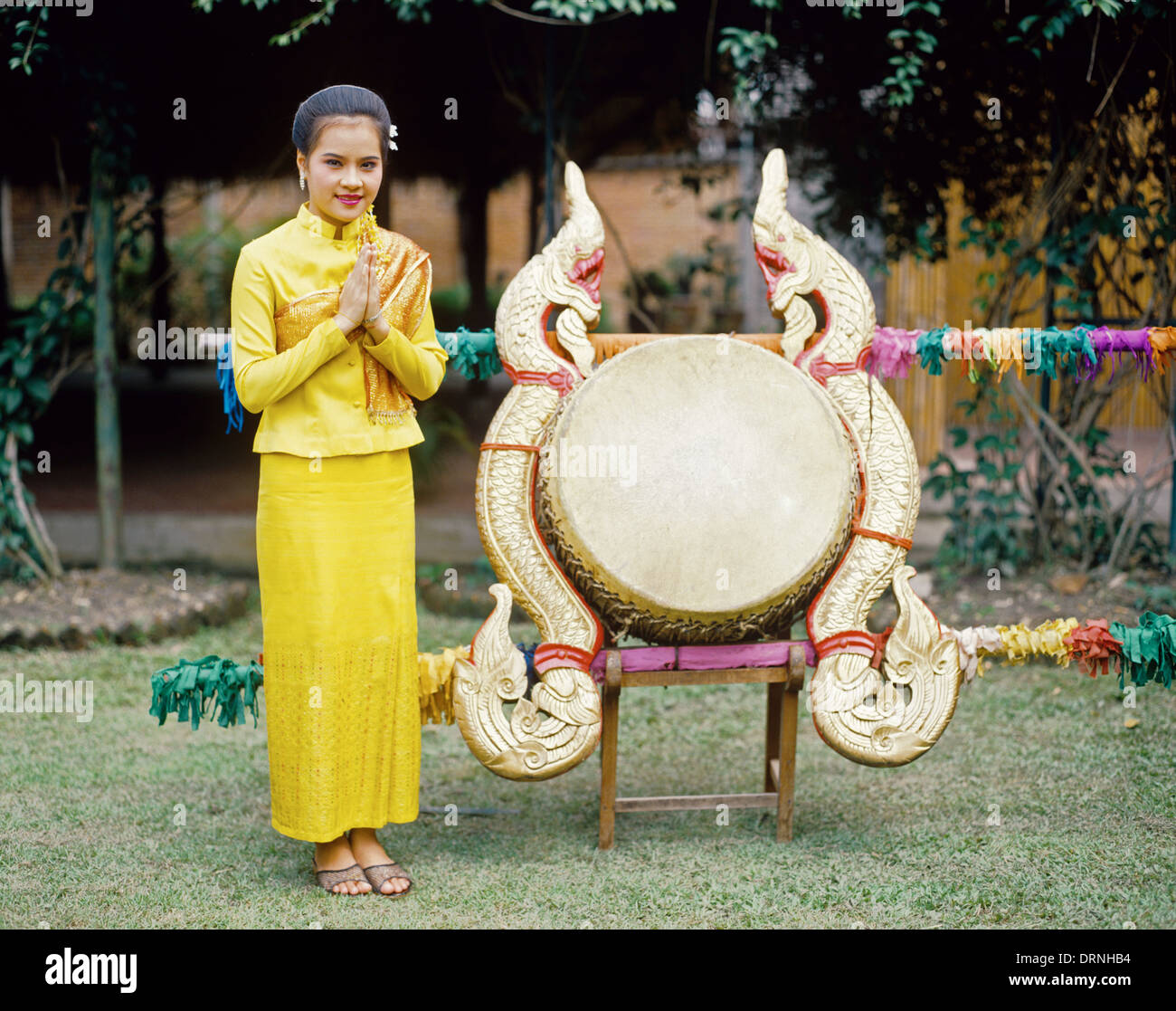 Gong gong snake hi-res stock photography and images - Alamy