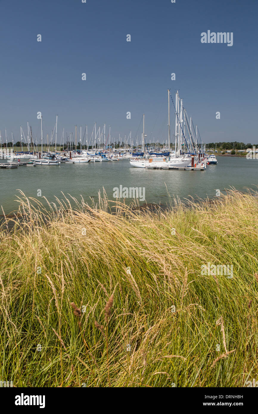 Burnham on Crouch Marina, Essex England Stock Photo - Alamy
