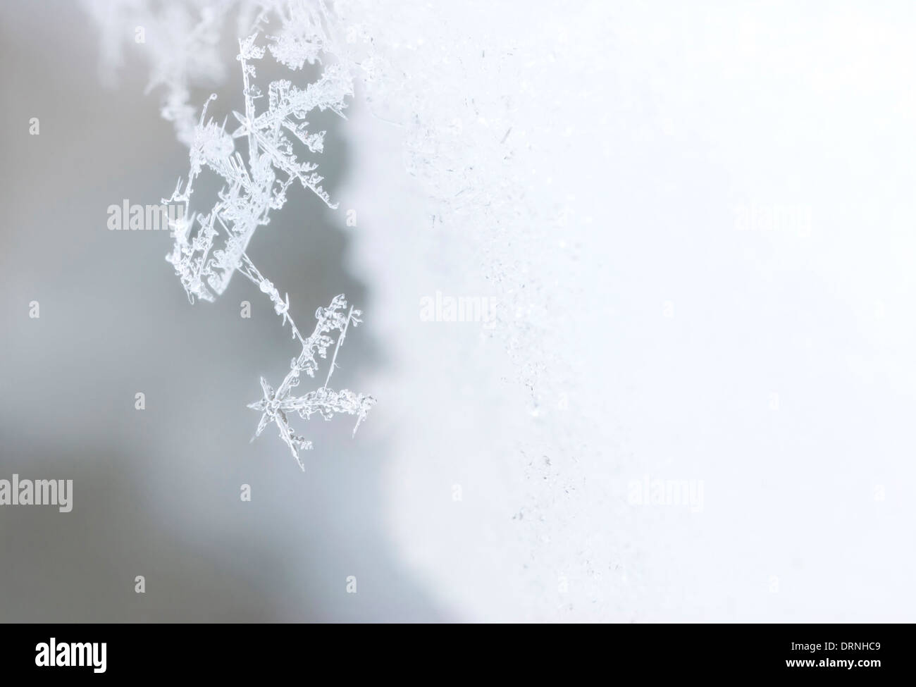 Closeup flake hi-res stock photography and images - Alamy