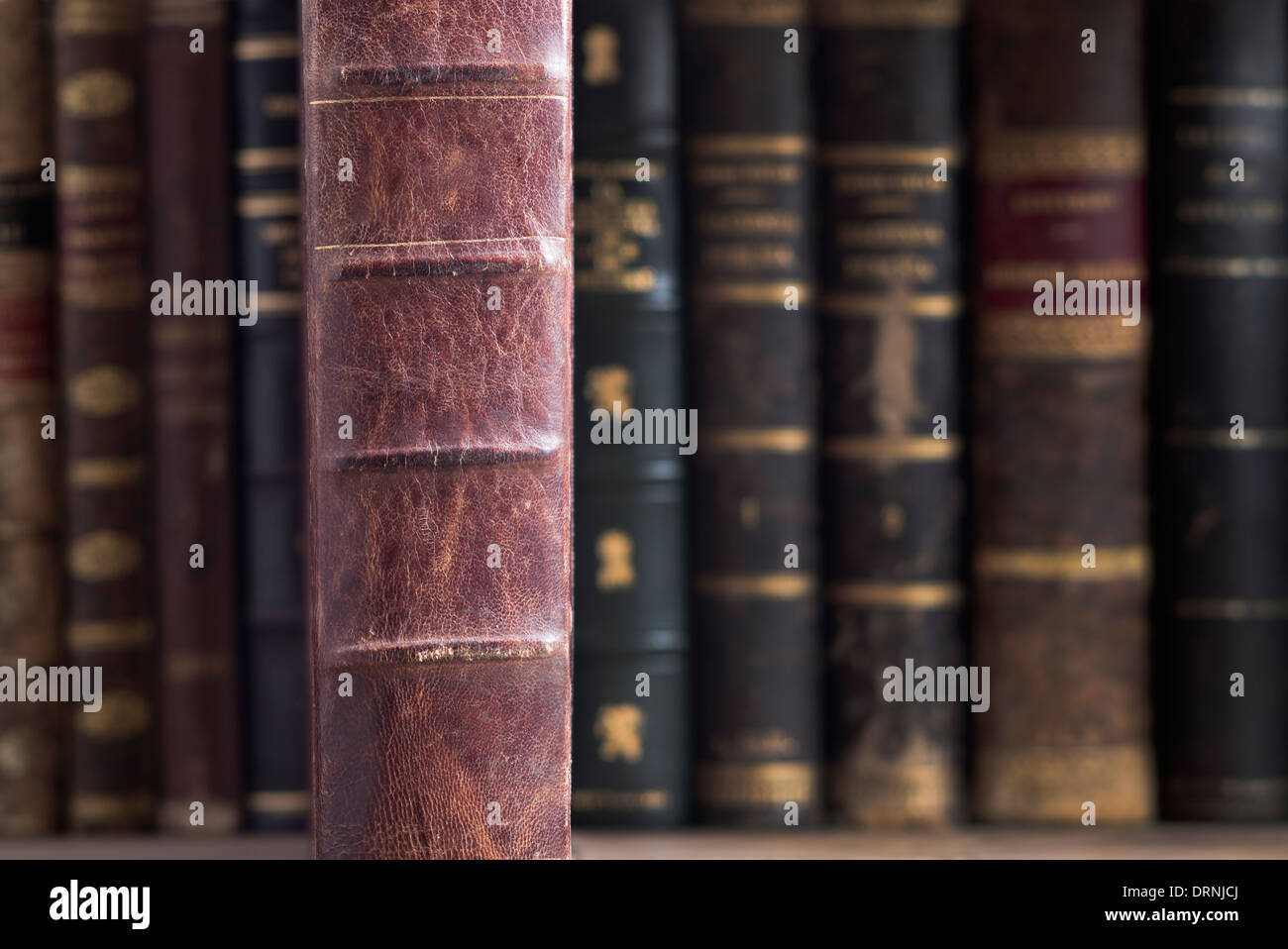 Selective focus on a book and books background unfocused Stock Photo ...