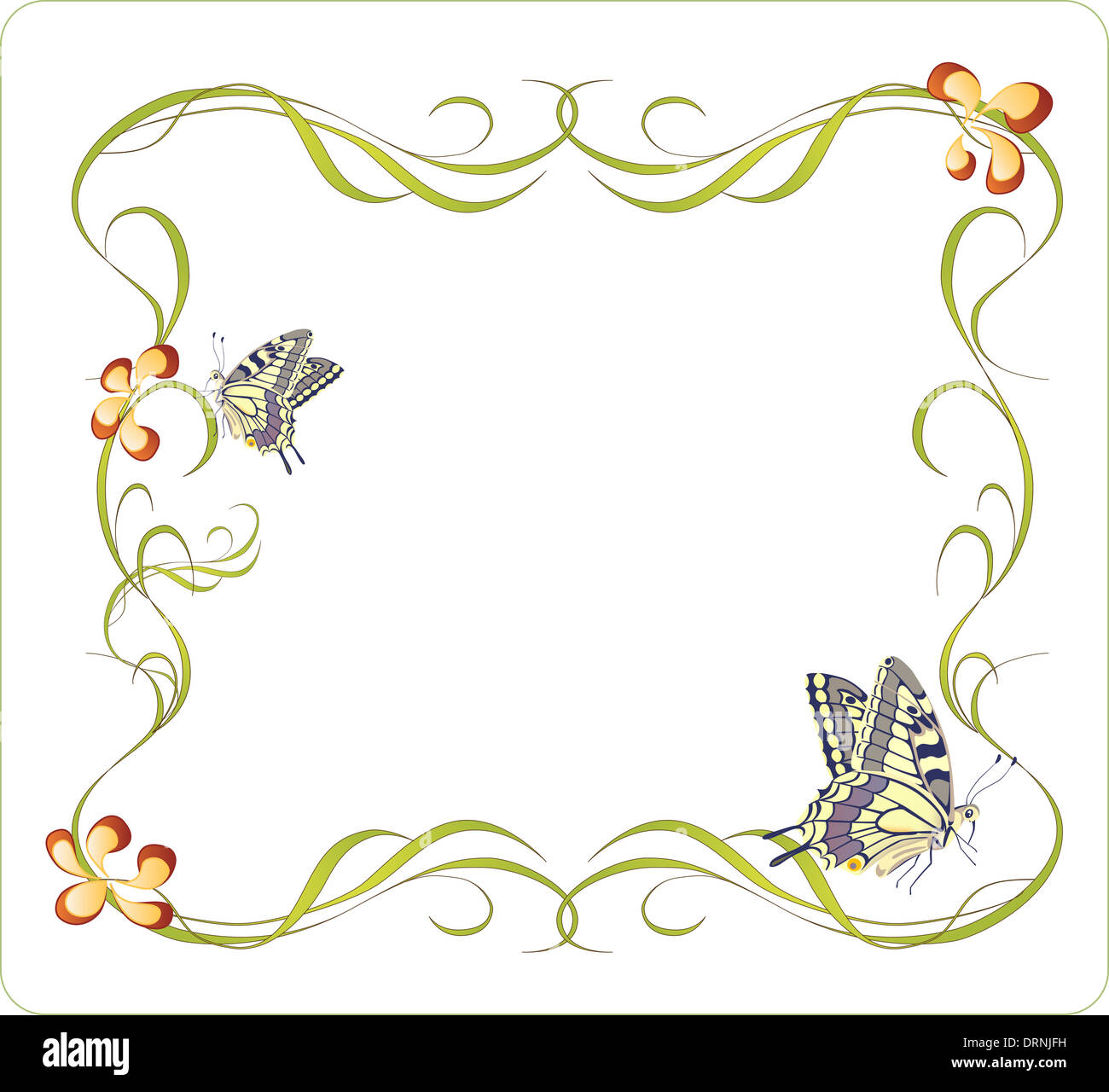 floral frame with butterflies Stock Photo - Alamy