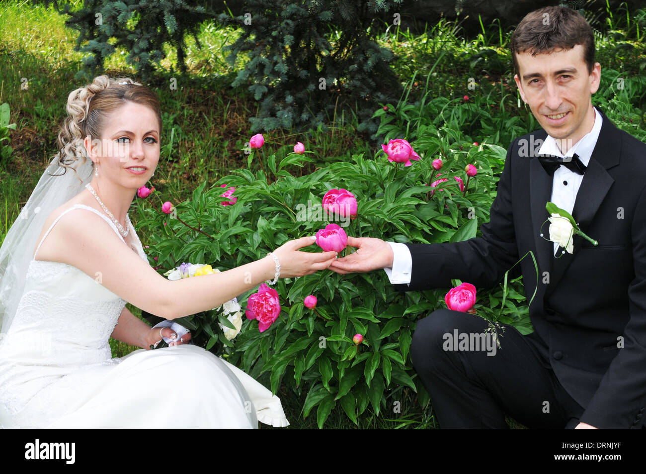 Wedding album - bride and groom Stock Photo - Alamy
