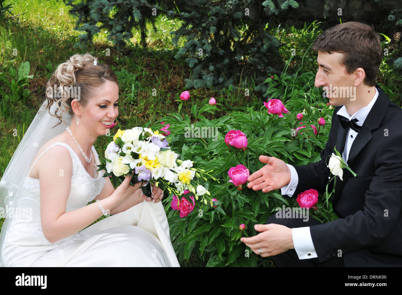 Wedding album - bride and groom Stock Photo - Alamy