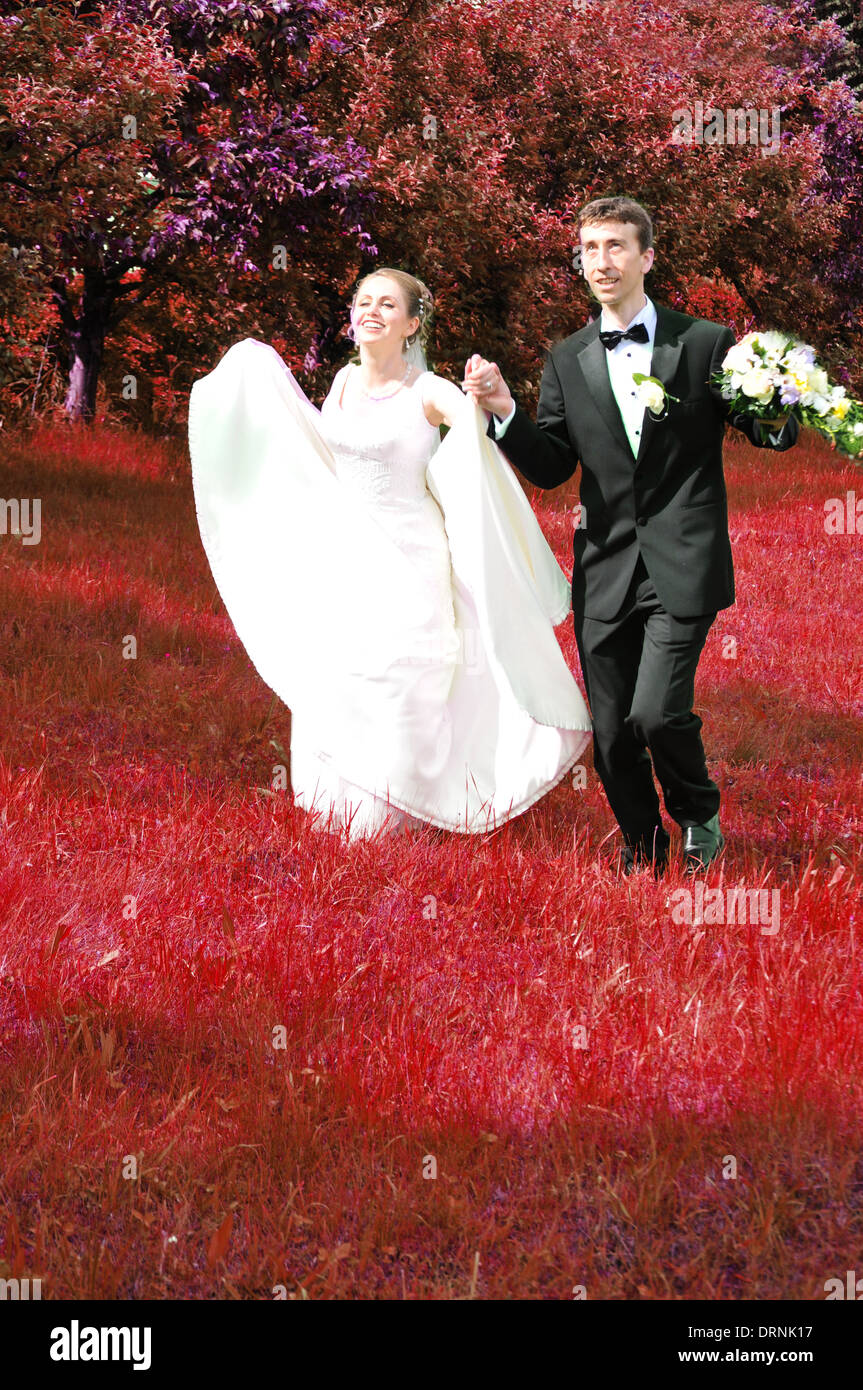 Wedding album - bride and groom Stock Photo - Alamy