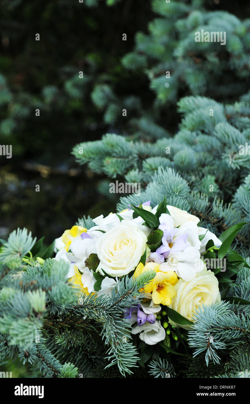 Wedding album - bride and groom Stock Photo - Alamy