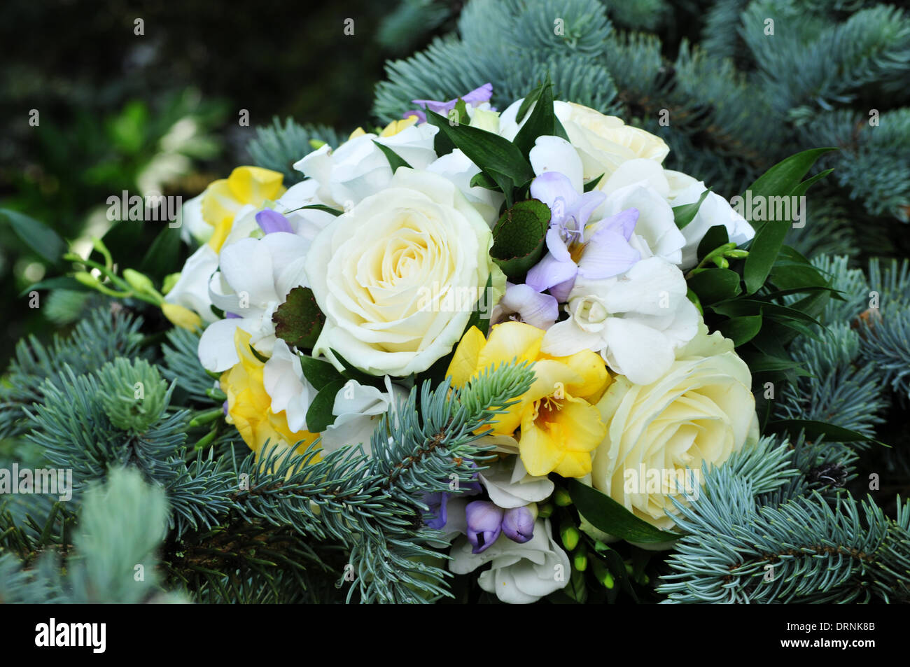 Wedding album - bride and groom Stock Photo - Alamy
