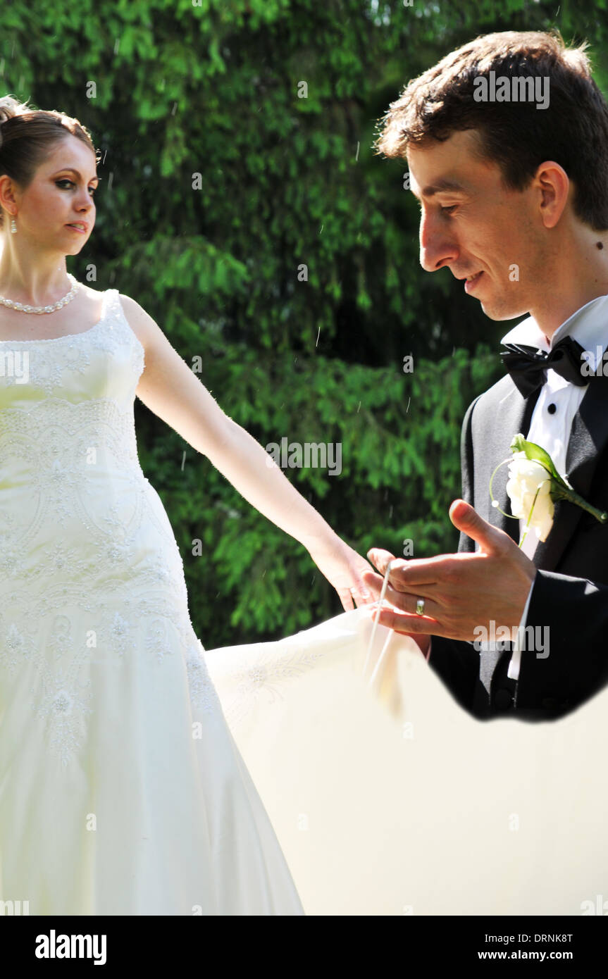 Wedding album - bride and groom Stock Photo - Alamy