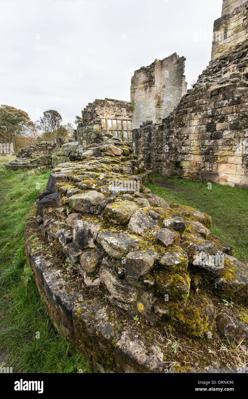 Mulgrave Castle in Autumn, Mulgrave Woods, North yorkshire England ...