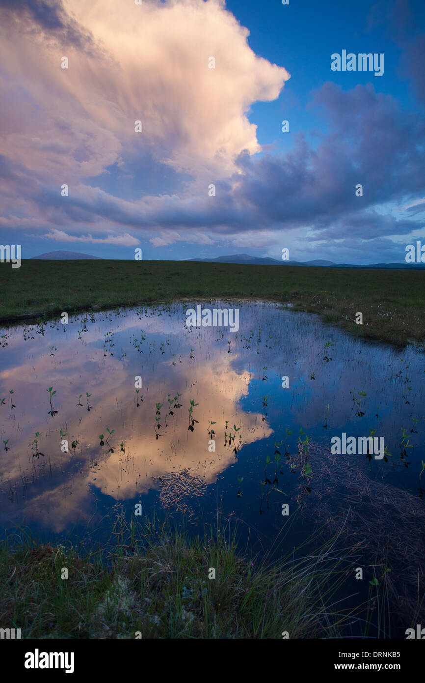 Irish peatlands ireland hi-res stock photography and images - Alamy