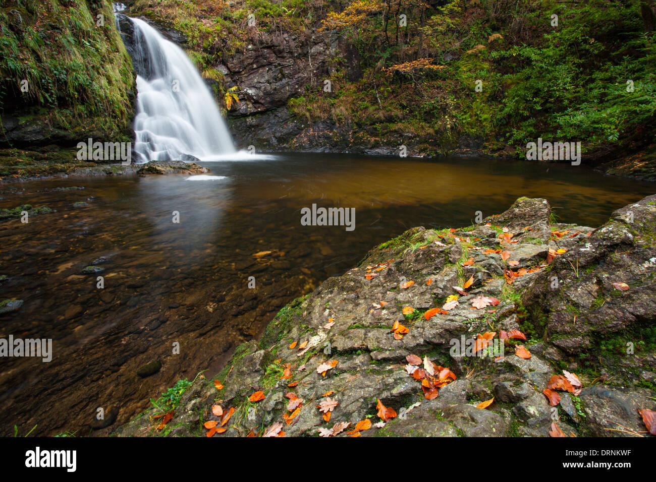 Waterfalls in woods hi-res stock photography and images - Alamy