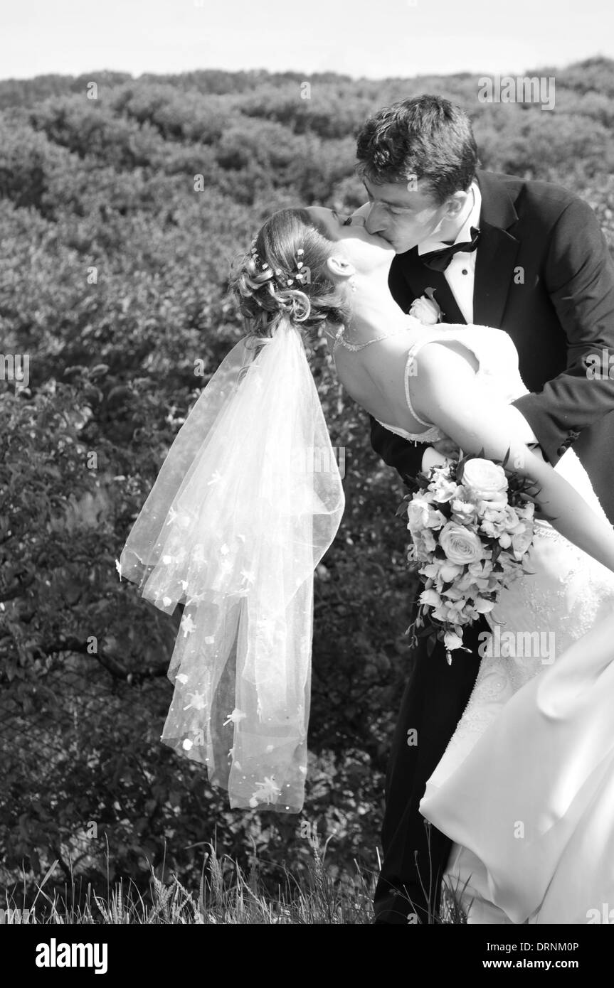 Wedding album - bride and groom Stock Photo - Alamy