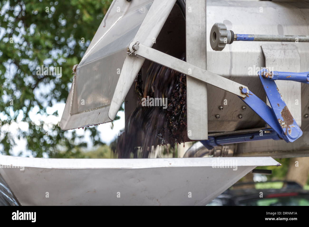 Grape destemming machine, Chateau de la Selve, Grospierres, Ardeche ...