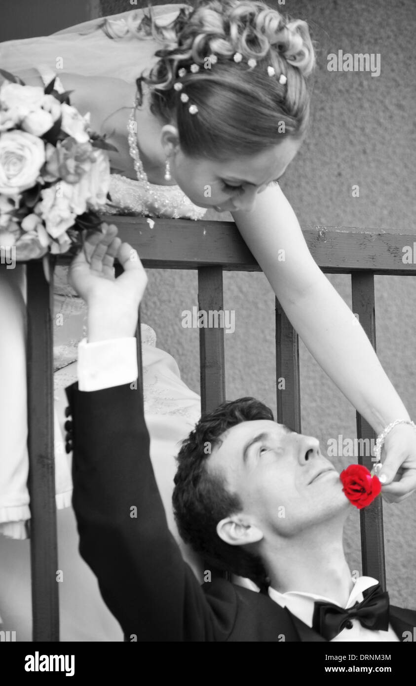 Wedding album - bride and groom Stock Photo - Alamy