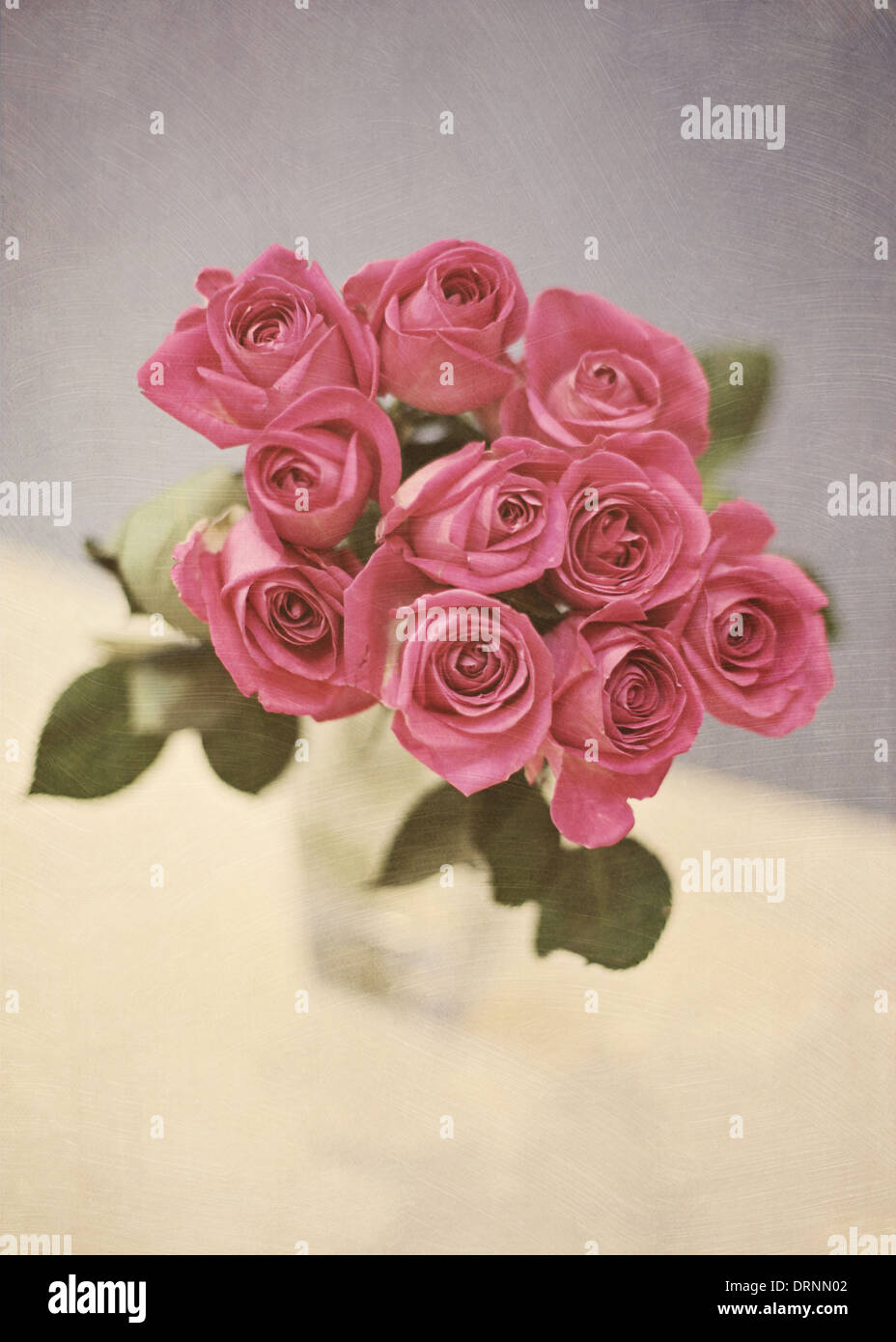 Bouquet Pink Roses In Vase High Resolution Stock Photography and Images ...