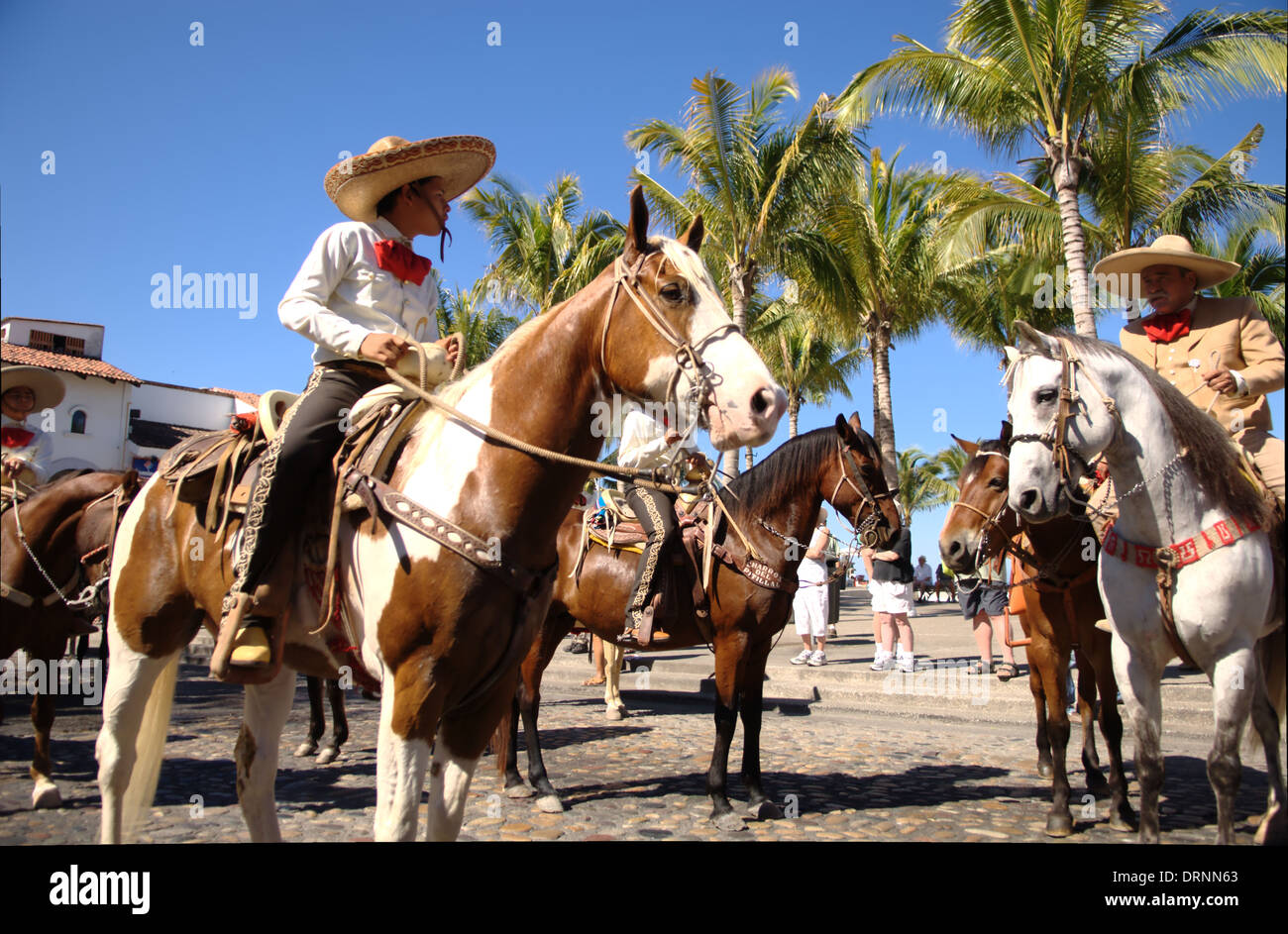 Charo hi-res stock photography and images - Alamy