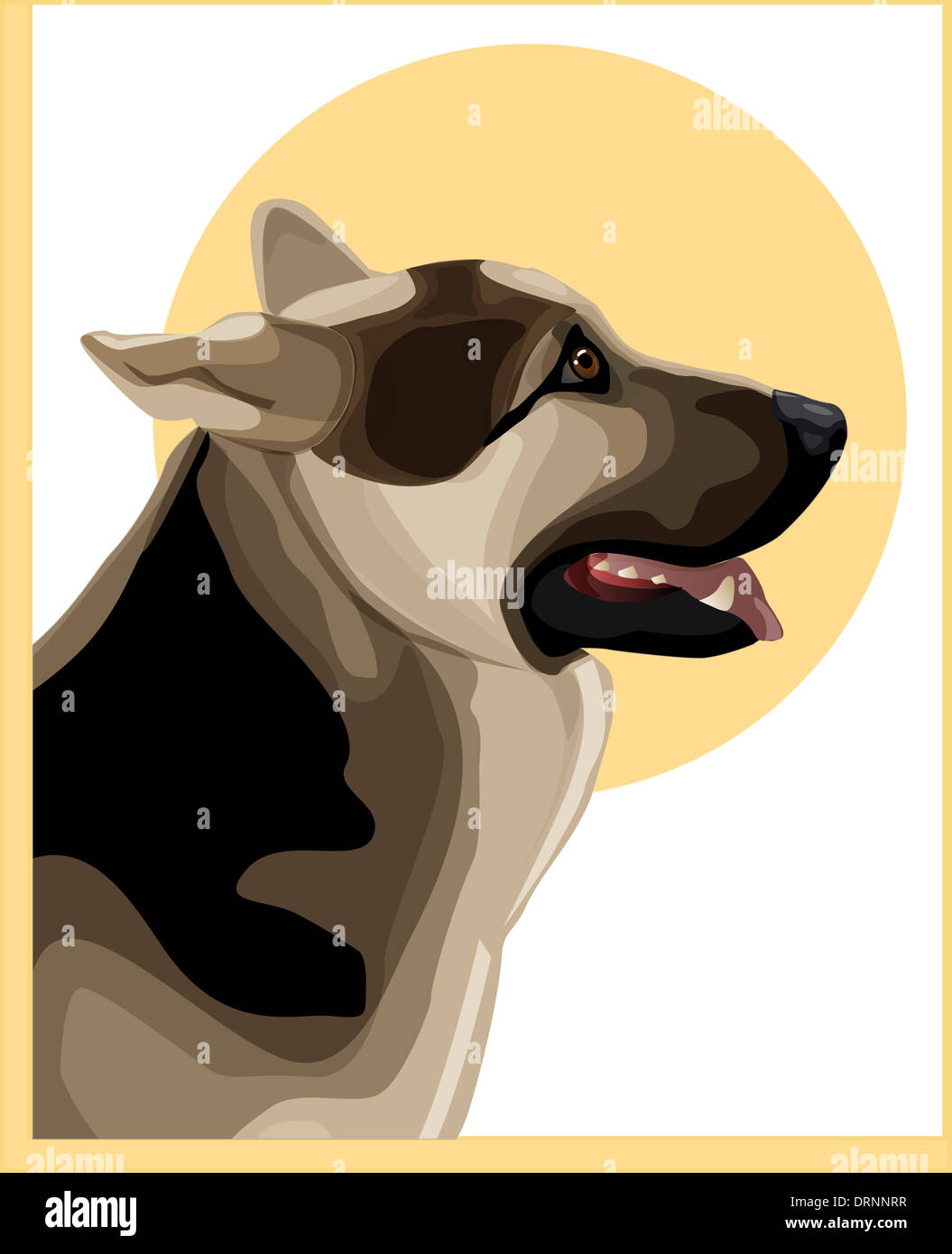 Alsatian head hi-res stock photography and images - Alamy