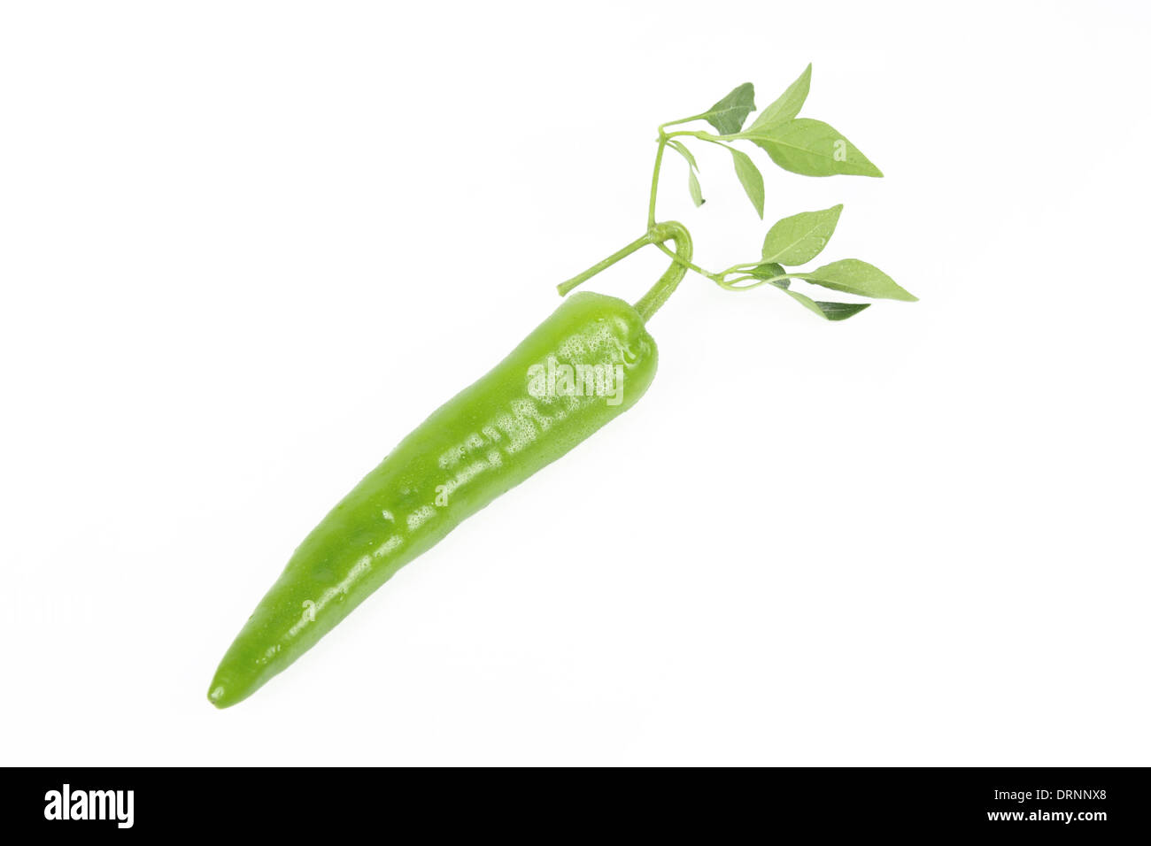 Green pepper hi-res stock photography and images - Alamy
