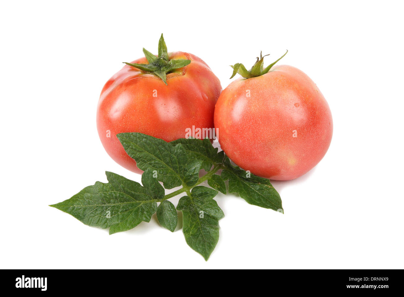 two tomato and leaf Stock Photo - Alamy