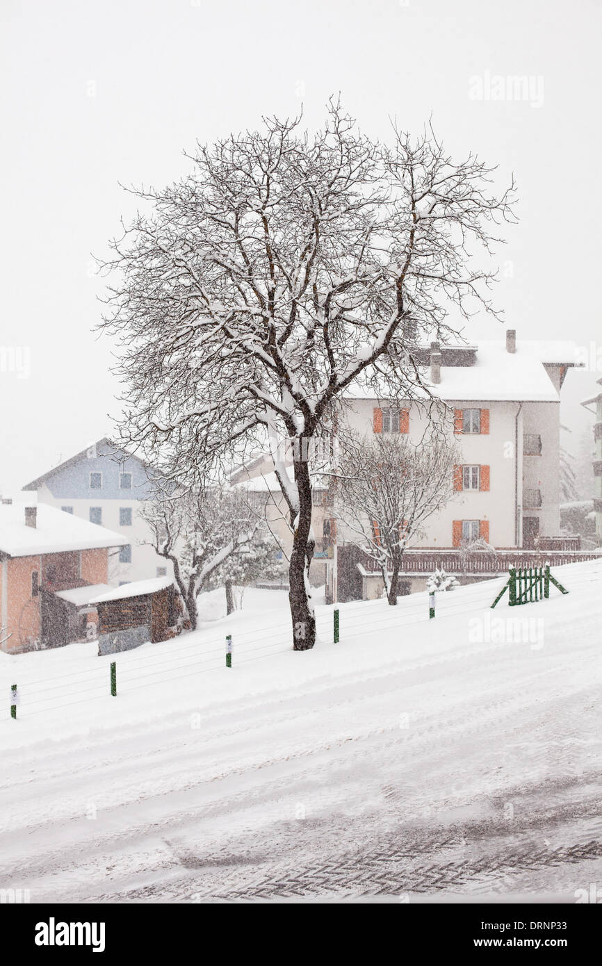 Carmine flamminio hi-res stock photography and images - Alamy