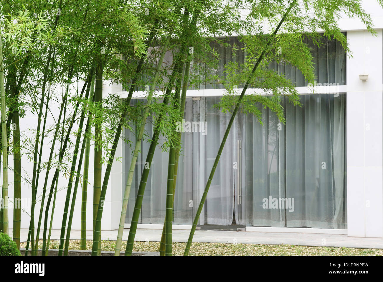 Bamboo exterior hi-res stock photography and images - Alamy