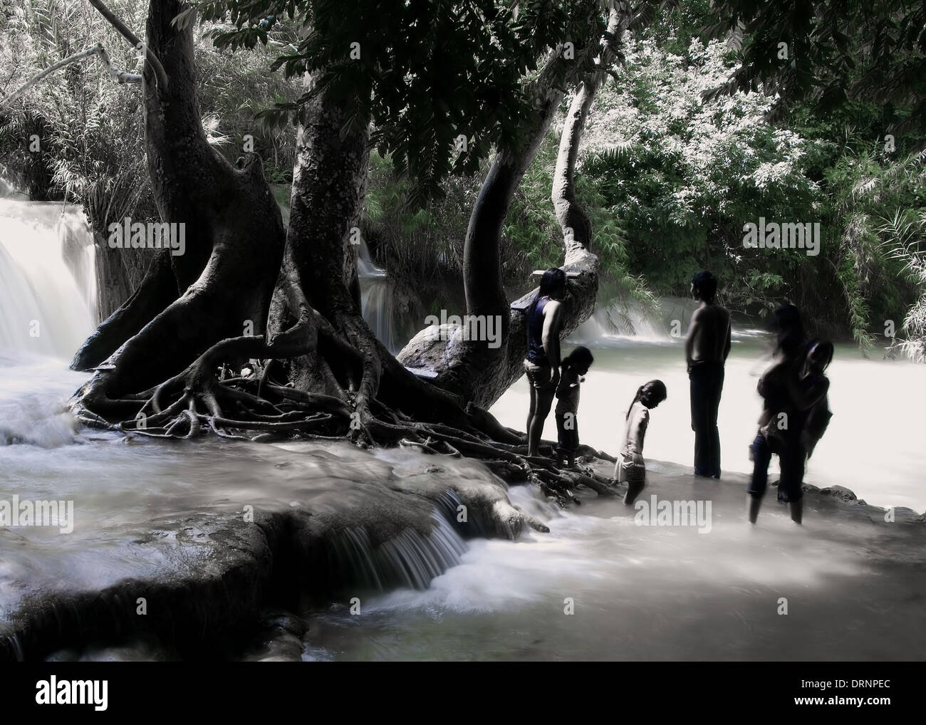 Asian mom girl with plant hi-res stock photography and images - Alamy