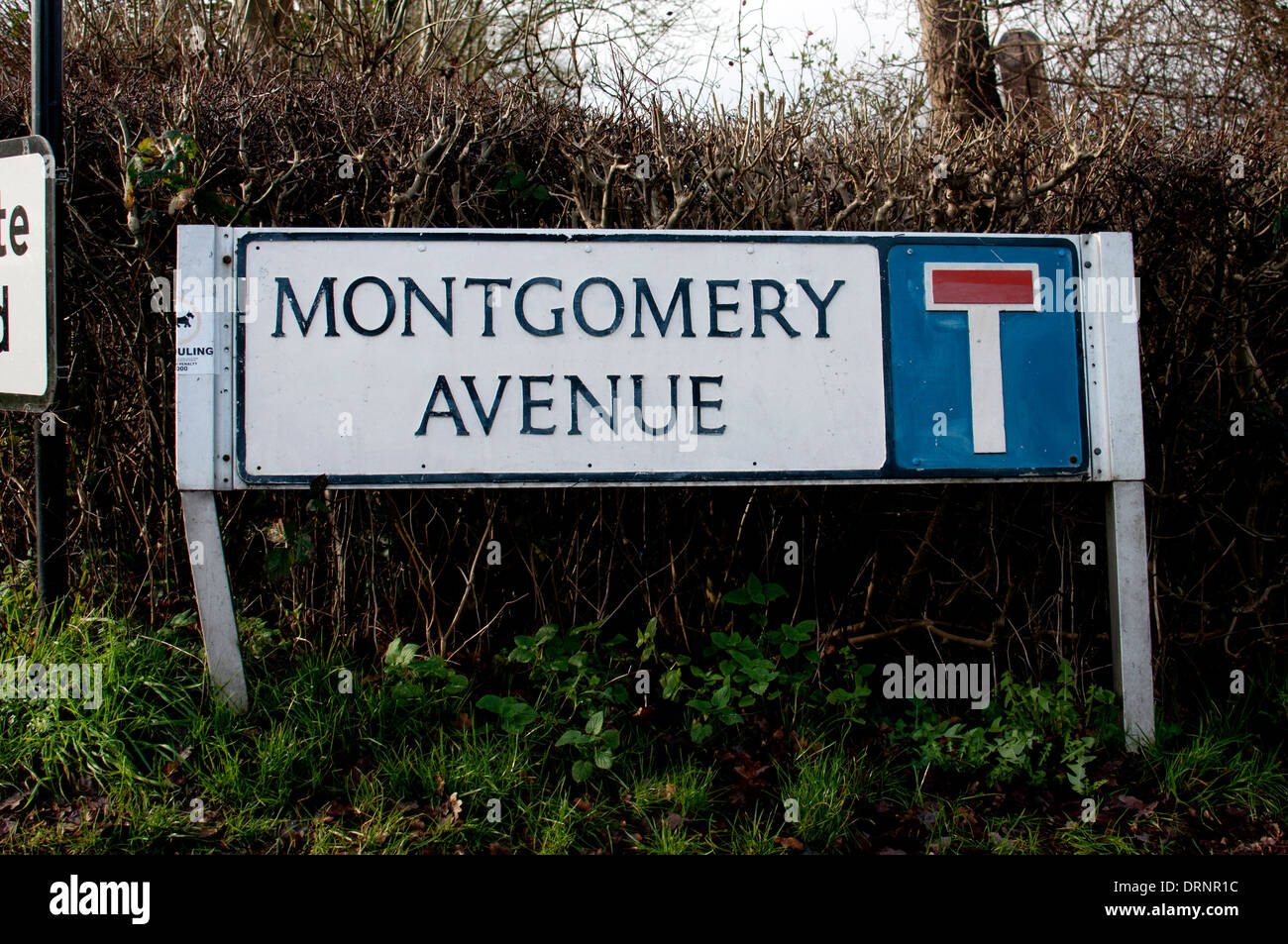 Hampton hill hi-res stock photography and images - Alamy