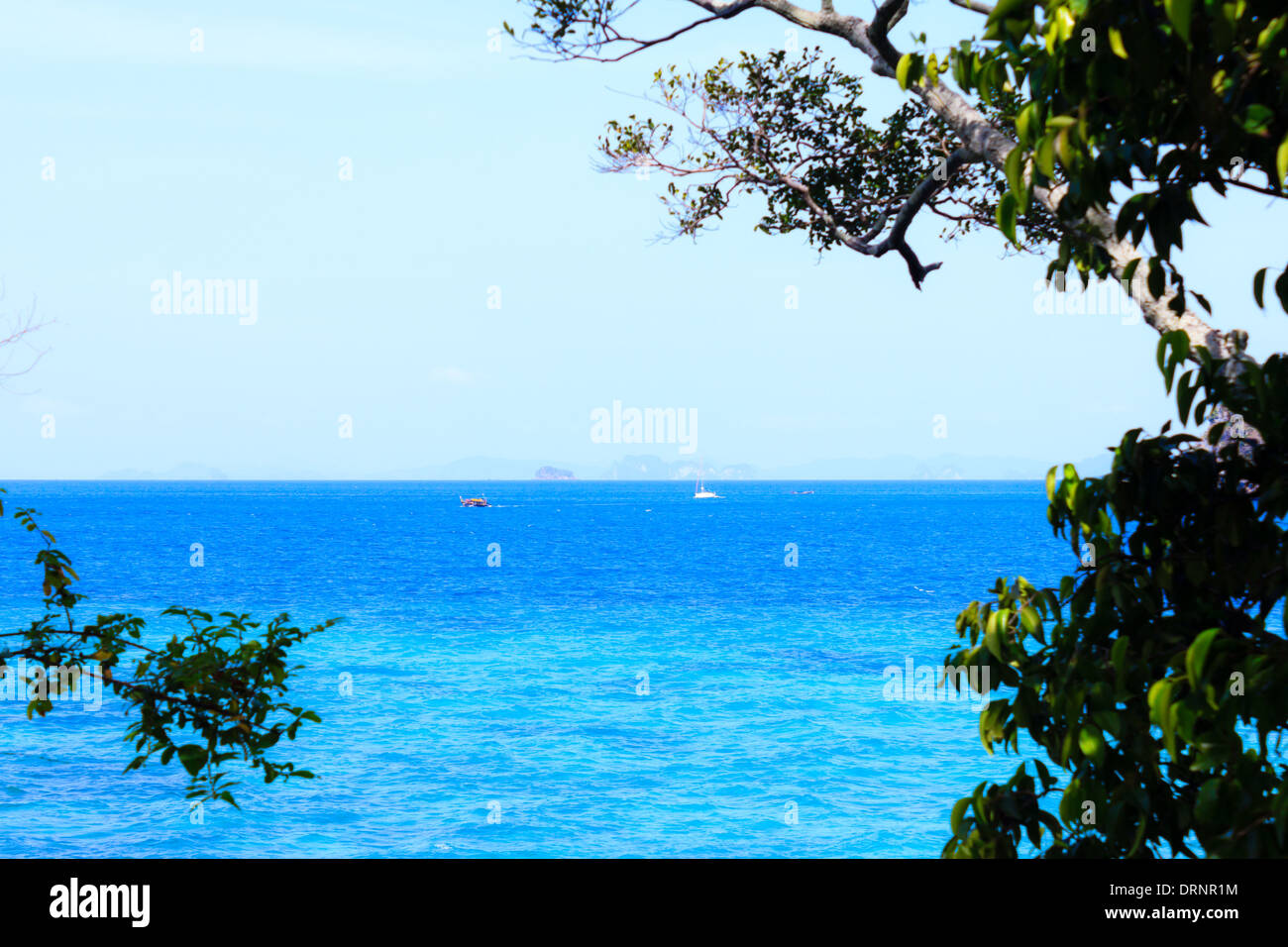 beautiful nature, blue water , tree and sea Stock Photo - Alamy