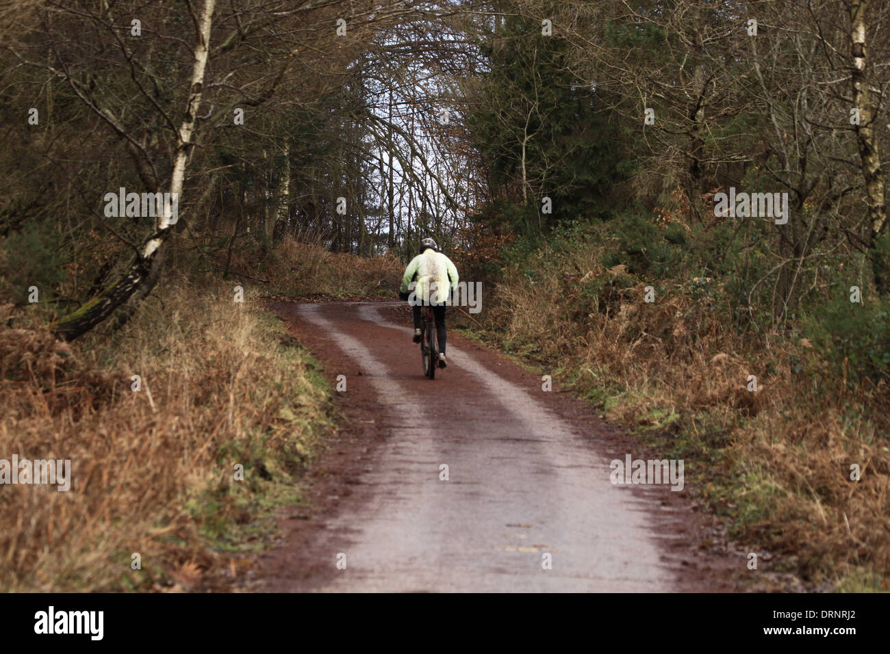 Cycling Forest Dean High Resolution Stock Photography and Images - Alamy