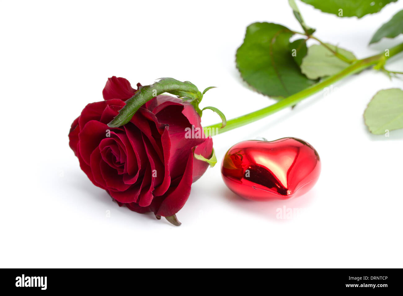 Rose and heart on the isolated white background Stock Photo - Alamy
