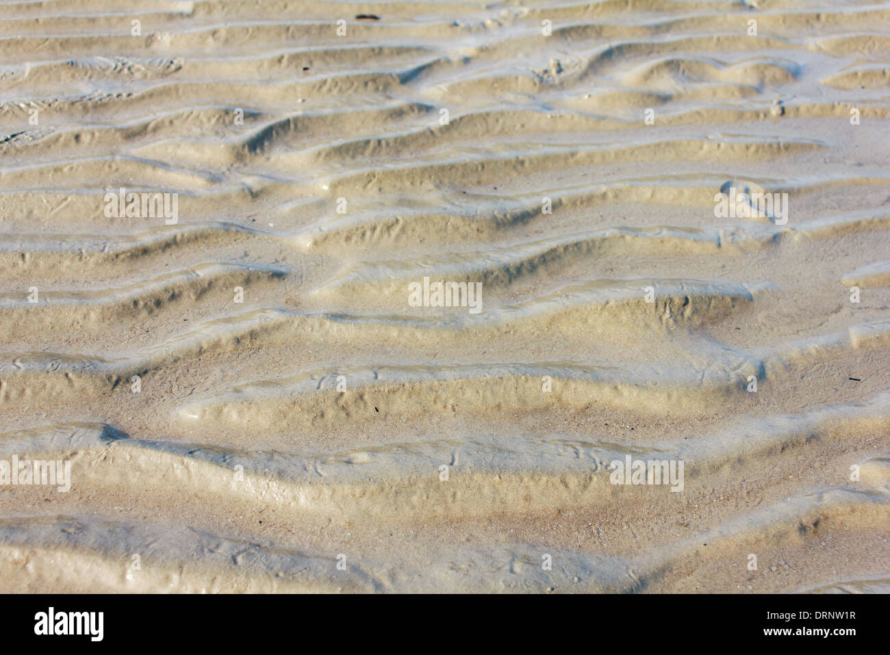 Wet sand texture on ocean shore formed by gentle waves Stock Photo - Alamy