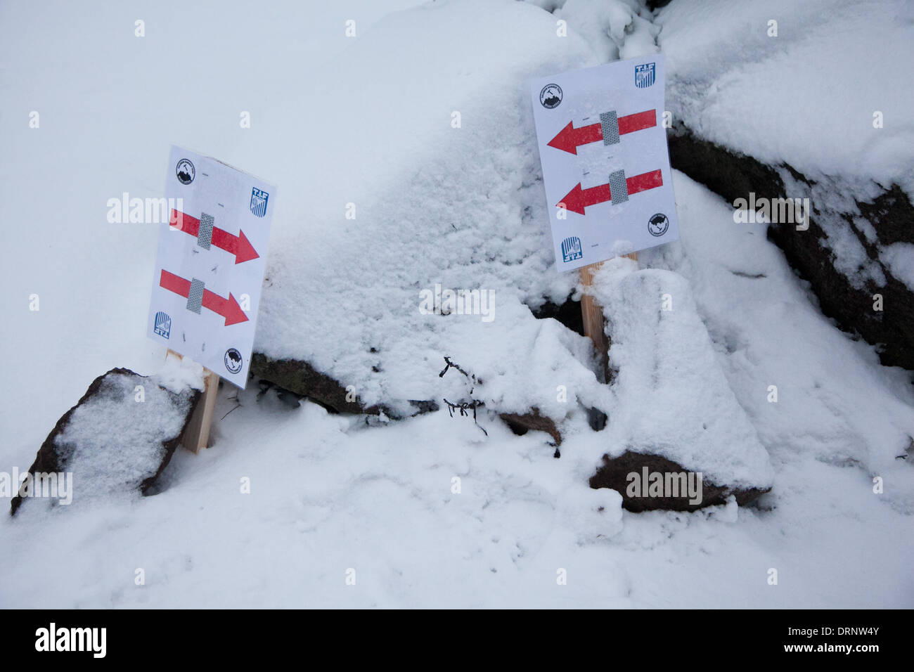 Signs with red arrows in the white snow show the runners which way to ...
