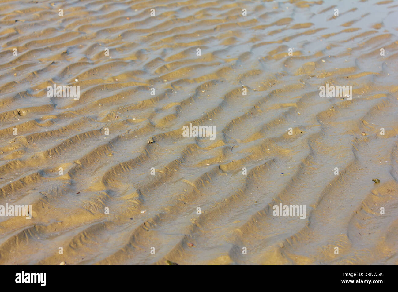 Wet sand texture on ocean shore formed by gentle waves Stock Photo - Alamy