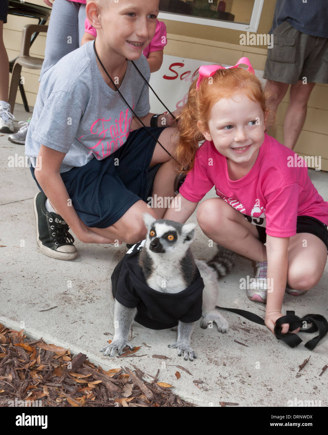 A pet lemur fascinates children Stock Photo - Alamy