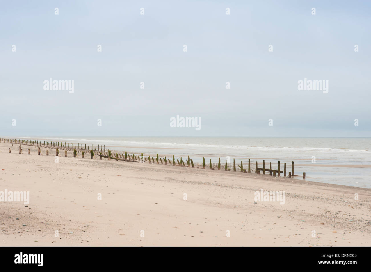 Wooden sea groynes on the beach at Spurn point Stock Photo - Alamy