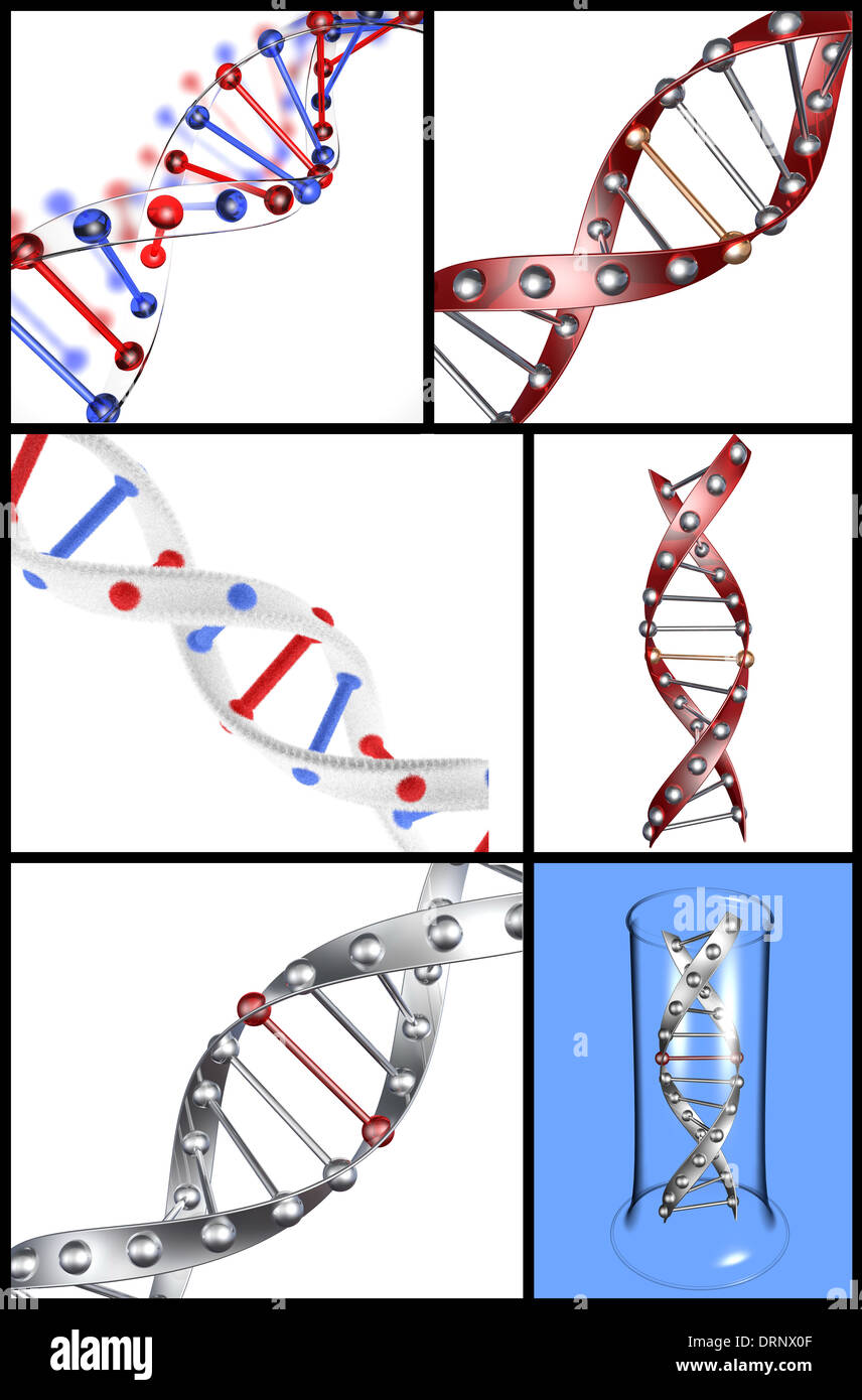 Collection. Structure Dnk on an isolated background Stock Photo - Alamy