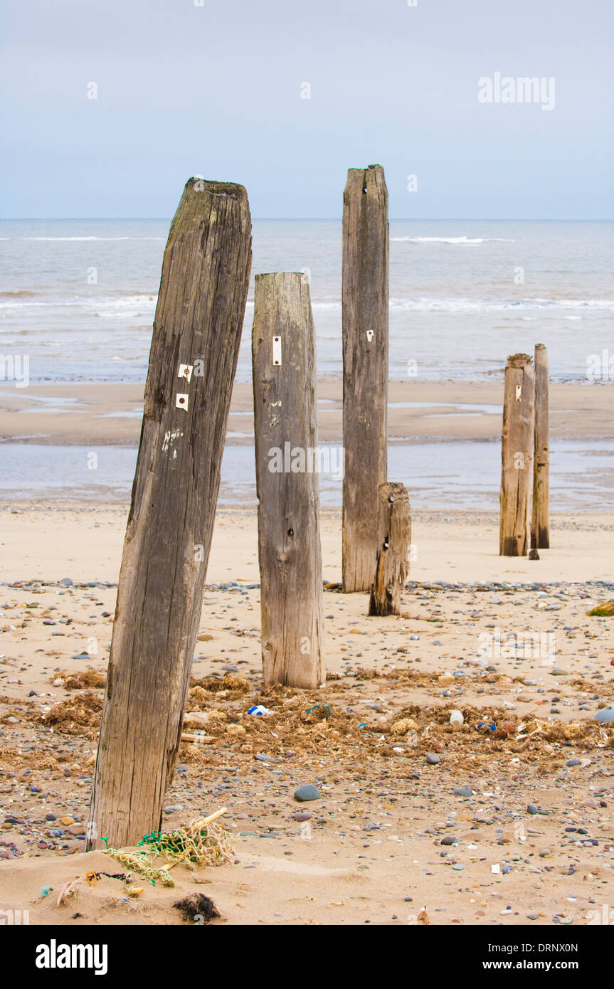 Wooden sea groynes on the beach at Spurn point Stock Photo - Alamy