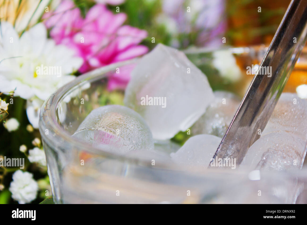 Glass of Ice Cubes. A ice bucket full of ice cubes Stock Photo - Alamy