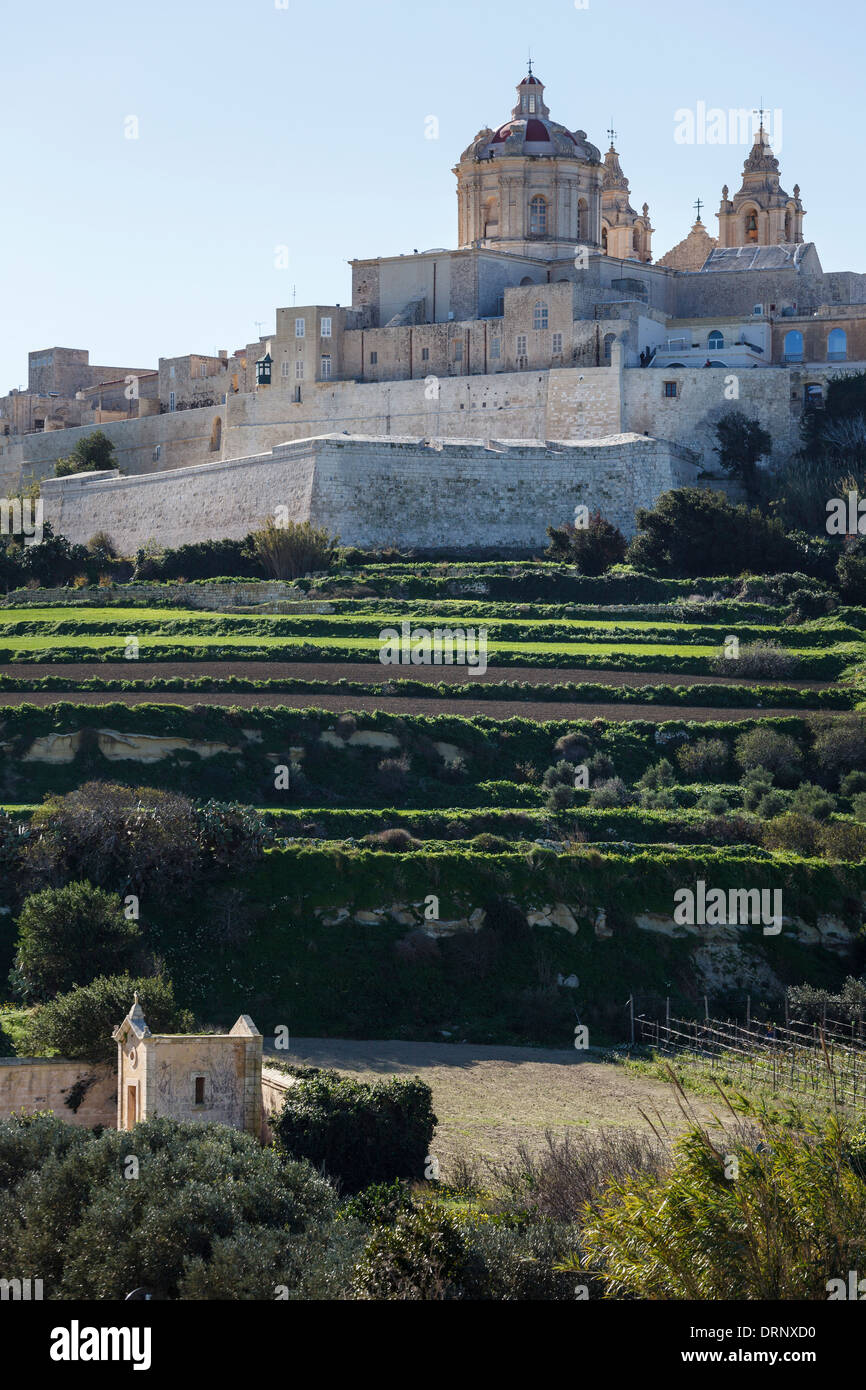 Mdina skyline hi-res stock photography and images - Alamy