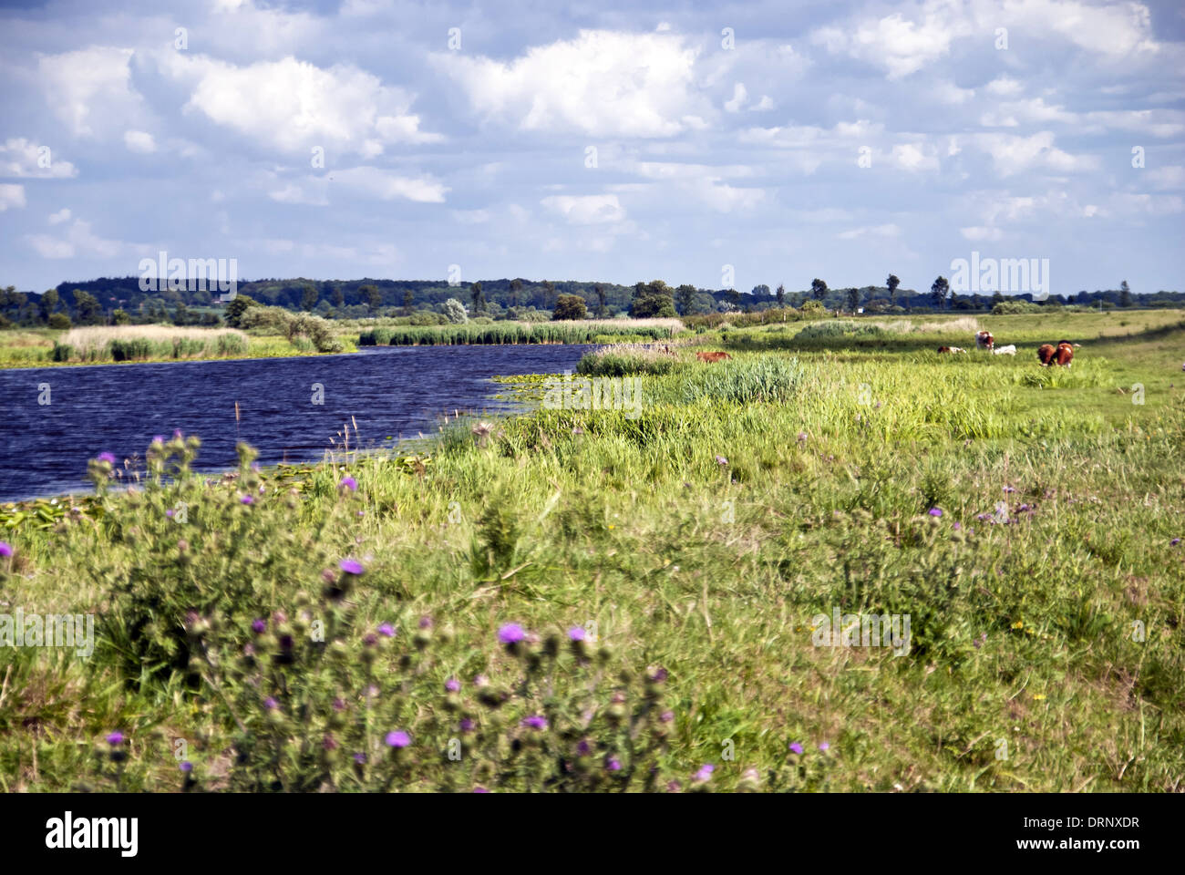 Flusslandschaft hi-res stock photography and images - Alamy