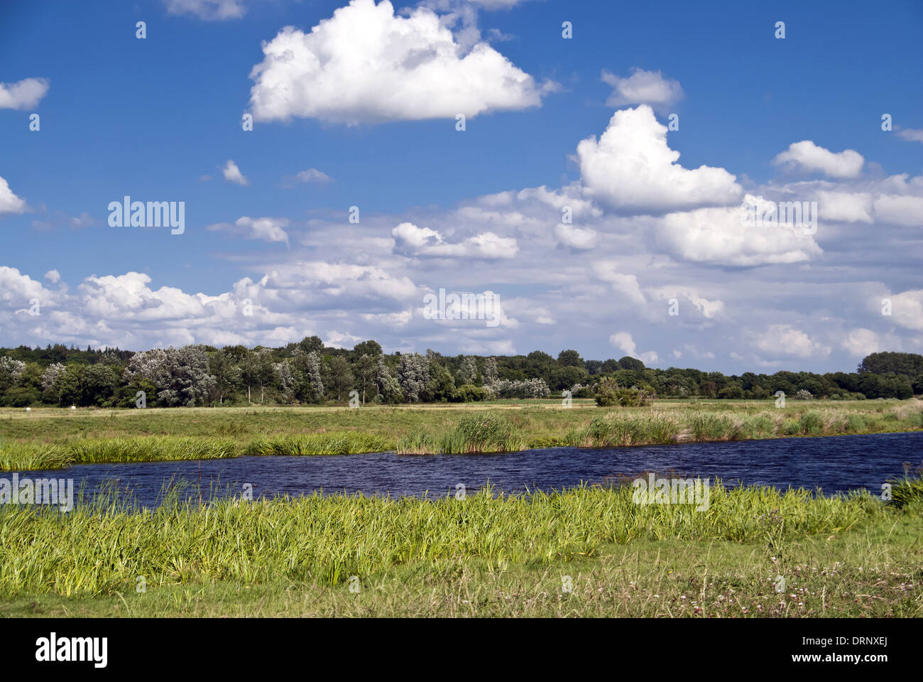 Flusslandschaft hi-res stock photography and images - Alamy