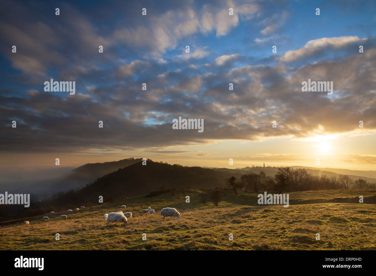Misty sunset on Hangman's hill looking towards Midsummer hill, Malvern ...