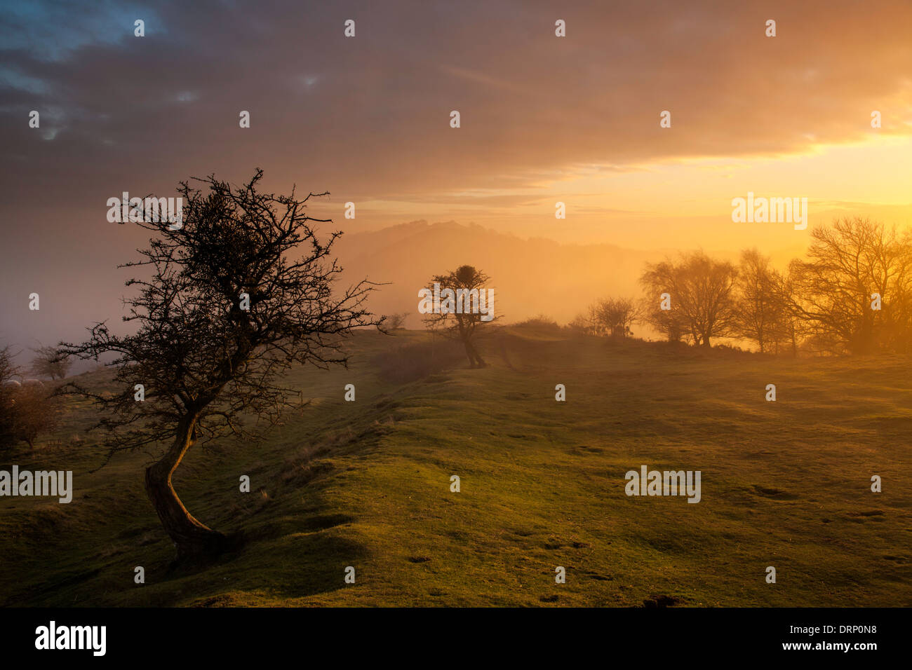 Misty sunset on Hangman hill looking towards Midsummer hill, Malvern ...