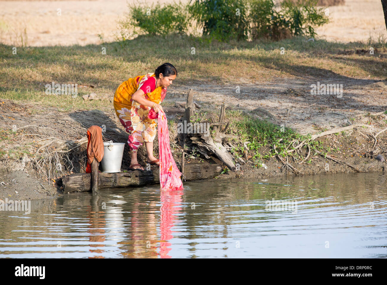 A woman washing clothes in a poluted pond in the Sunderbans, a low ...