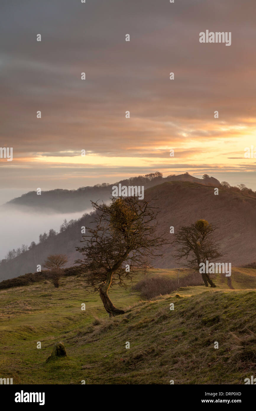 Misty sunset on Hangman hill looking towards Midsummer hill, Malvern ...