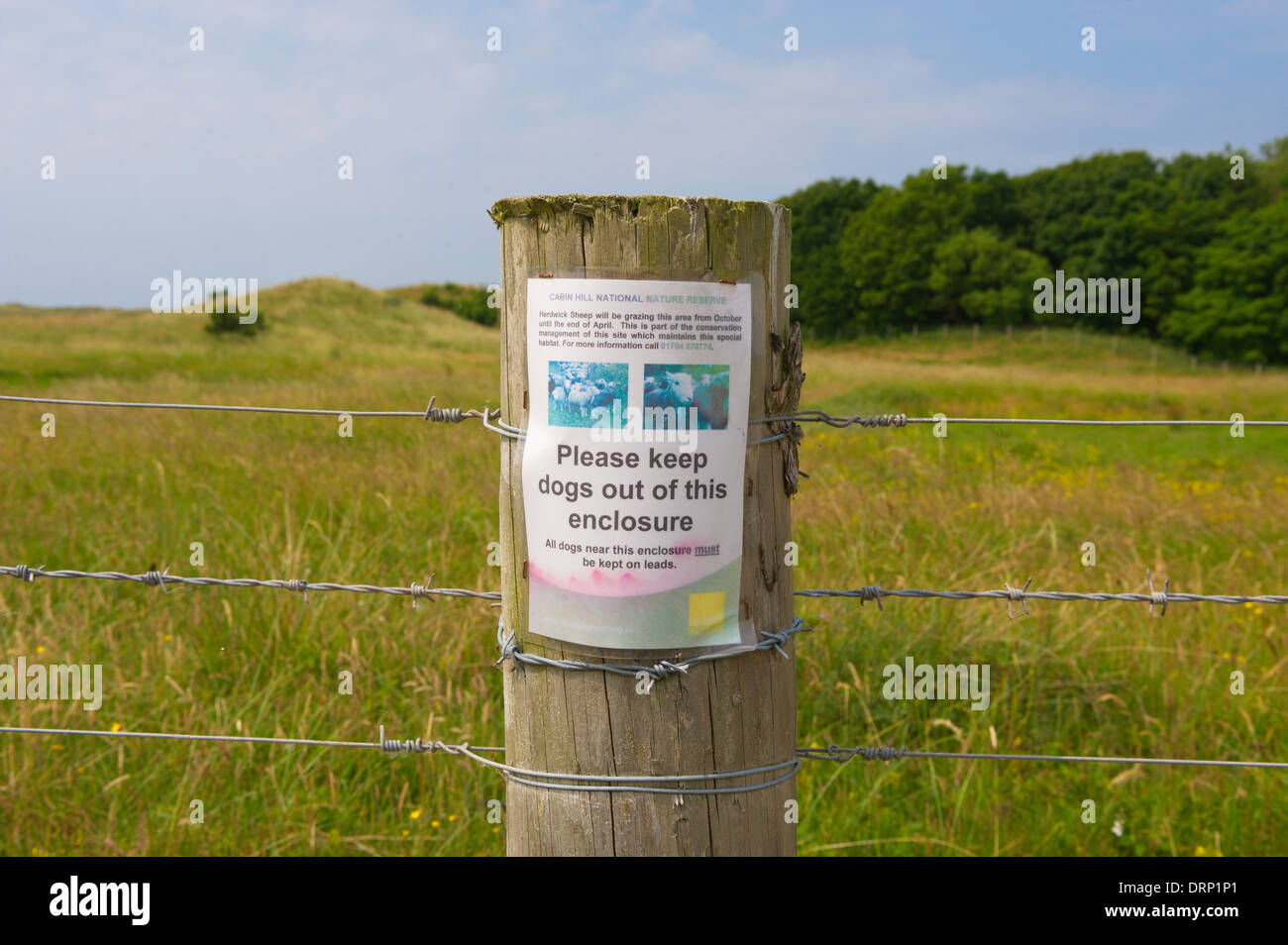 Warning sign to keep dogs out of this enclosure at Cabin Hill National ...