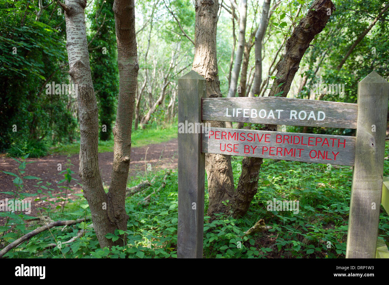 A woodland sign. Lifeboat Road, Formby, Sefton, Merseyside, England, UK ...
