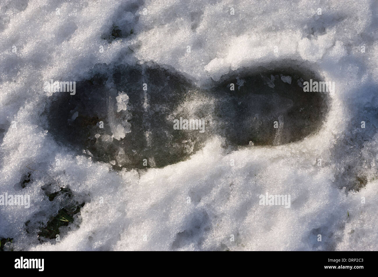 Footprint in white snow. Large man sized boots Stock Photo - Alamy